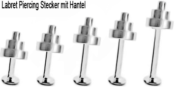 Labret Lippe Ohr Co Piercing Stecker mit Hantel
